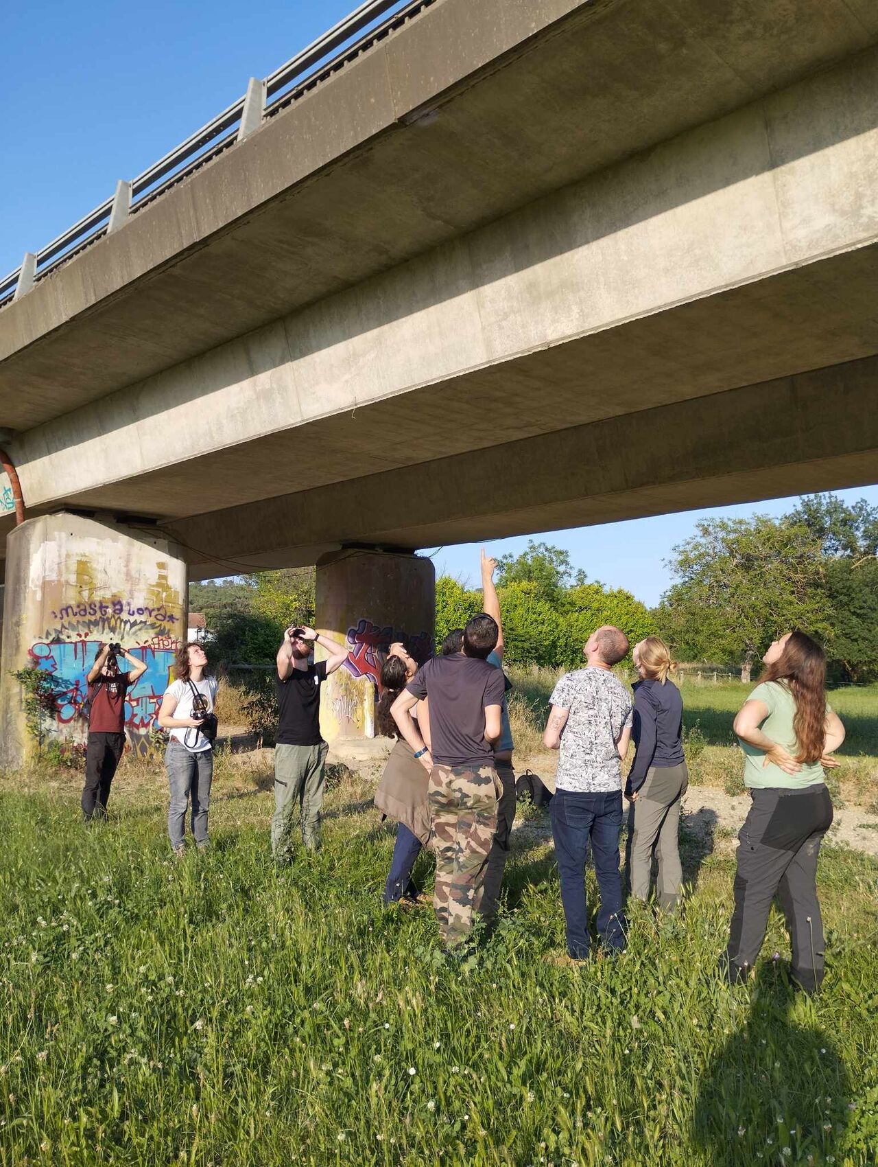 Caroline Lehmann – Formation écologie & chauves-souris